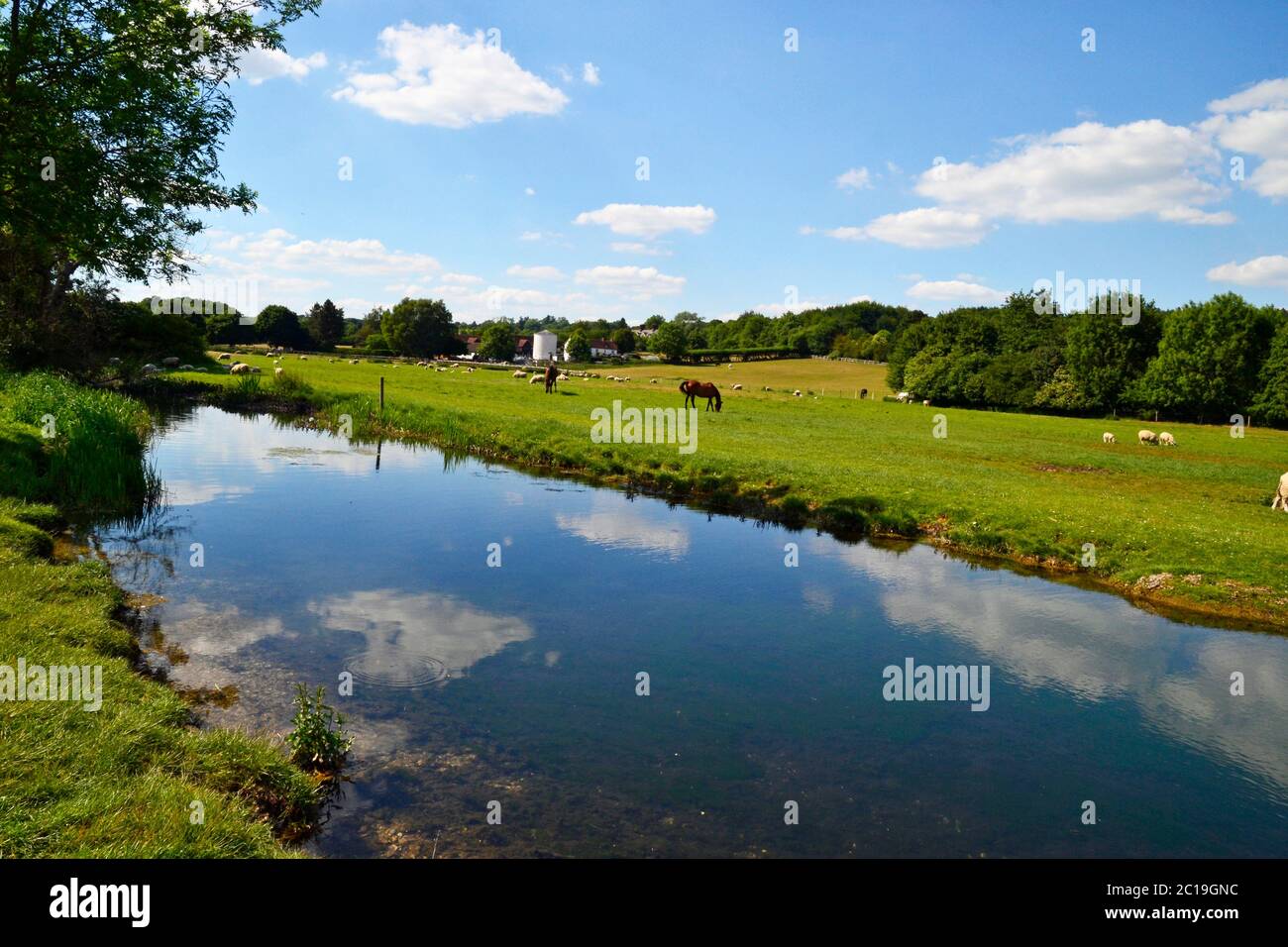 The River Misbourne, which runs through the Shardeloes Estate between ...