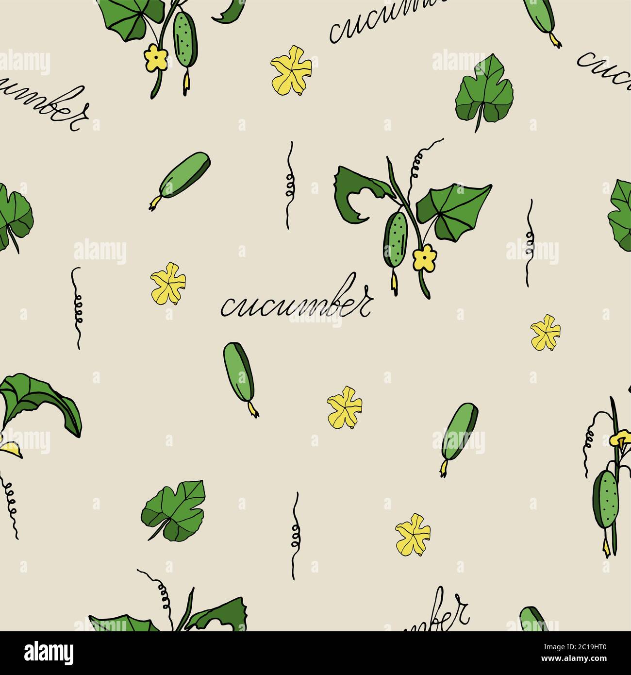 Botanical illustration of cucumber hi-res stock photography and images ...