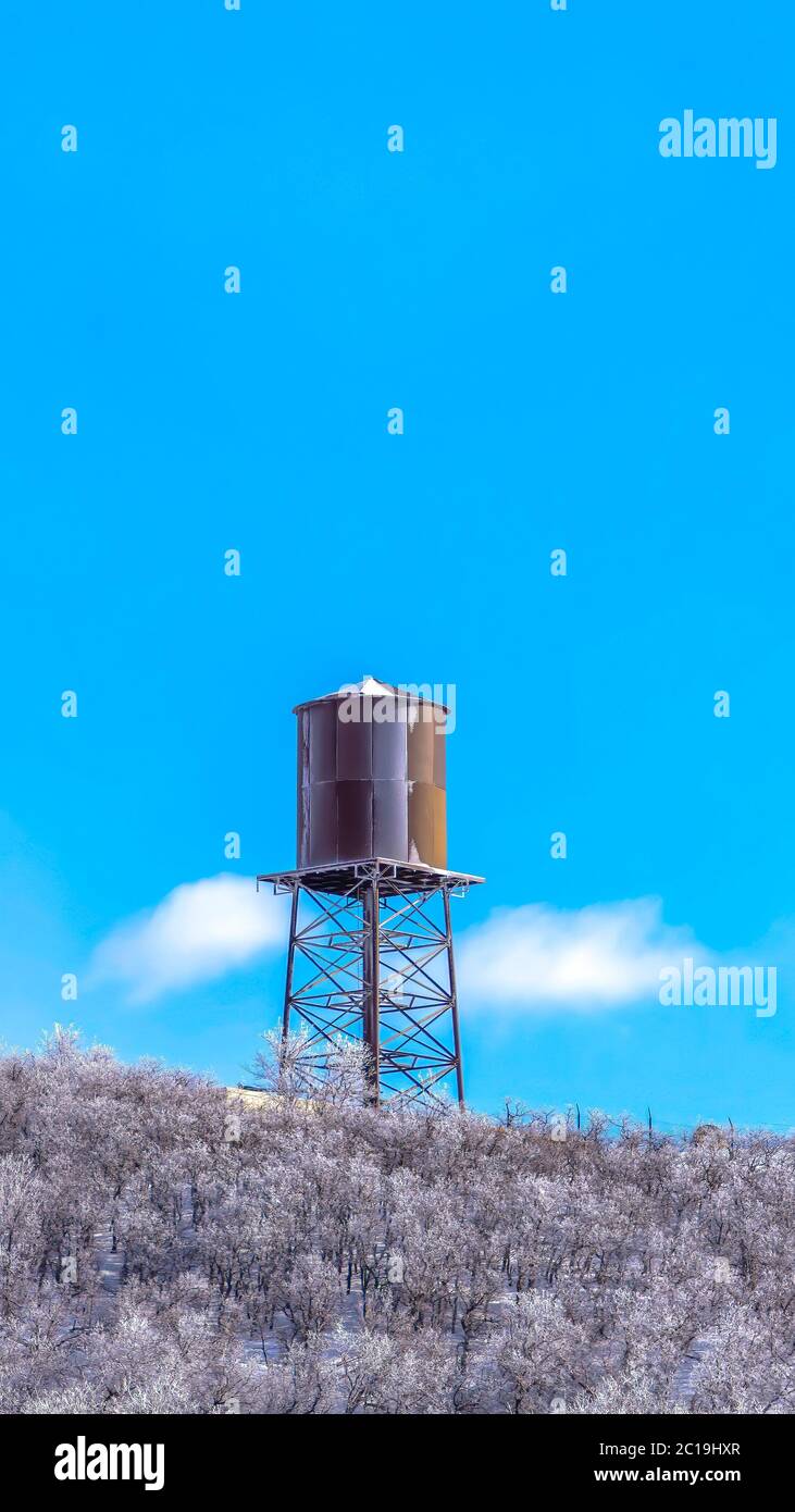 Vertical crop Cylindrical water storage tank container on a steel tower ...