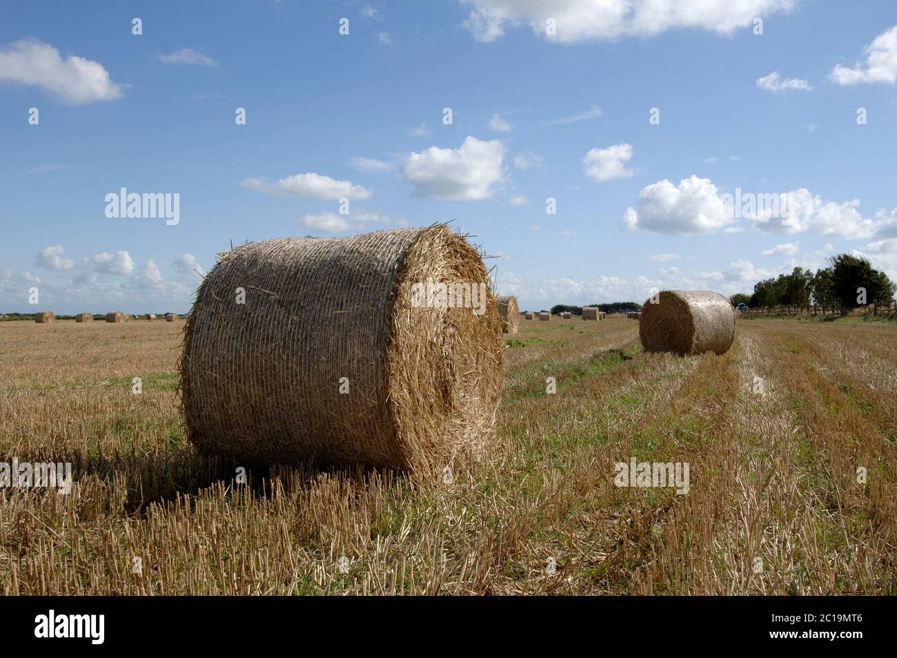 Round hay bales in field after harvest, Southern England, UK Stock ...