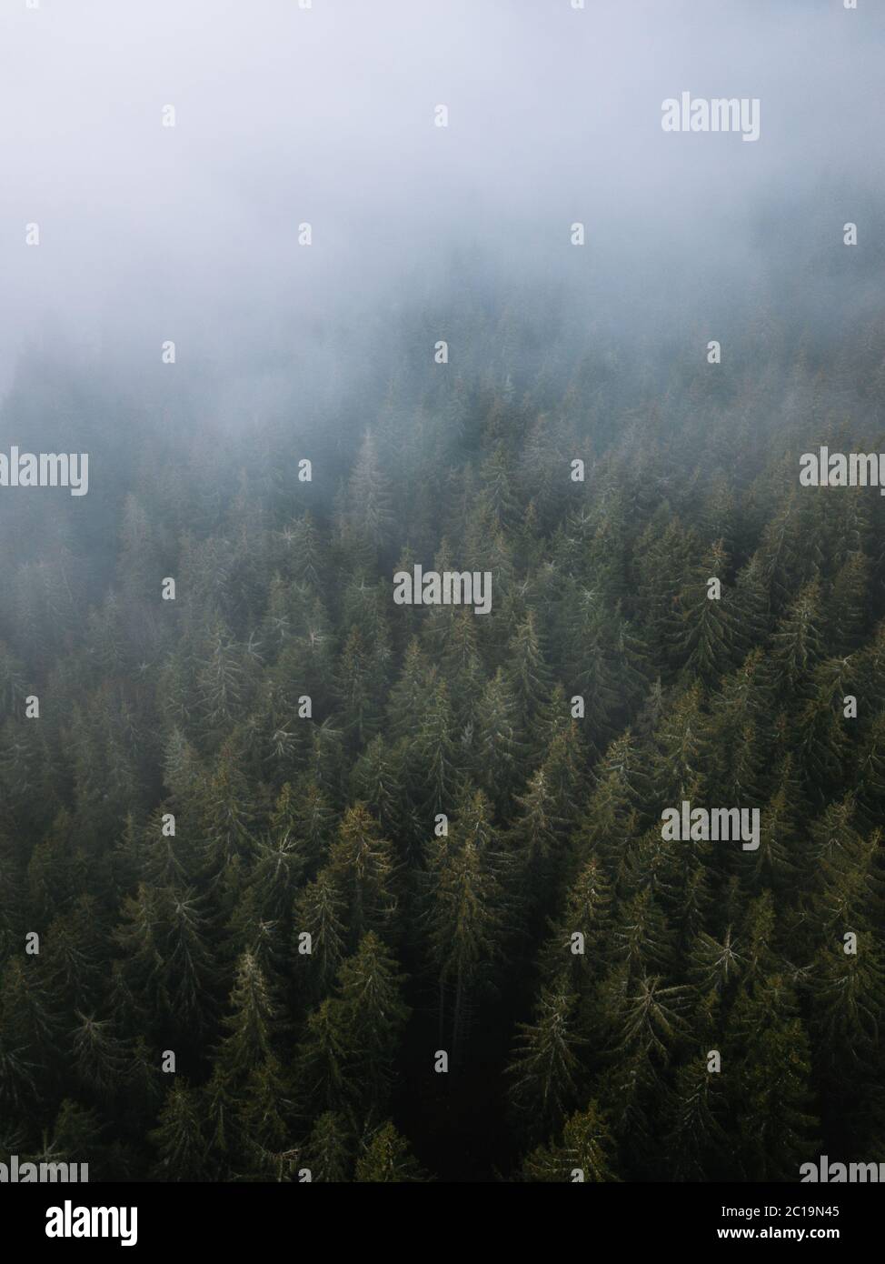 Aerial shot above meadow trees hi-res stock photography and images - Alamy