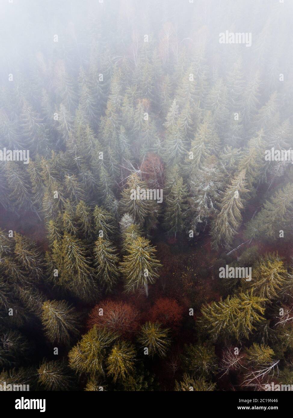 Aerial misty forest hi-res stock photography and images - Alamy