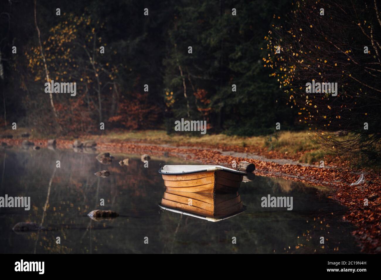 Silence autumn hi-res stock photography and images - Alamy
