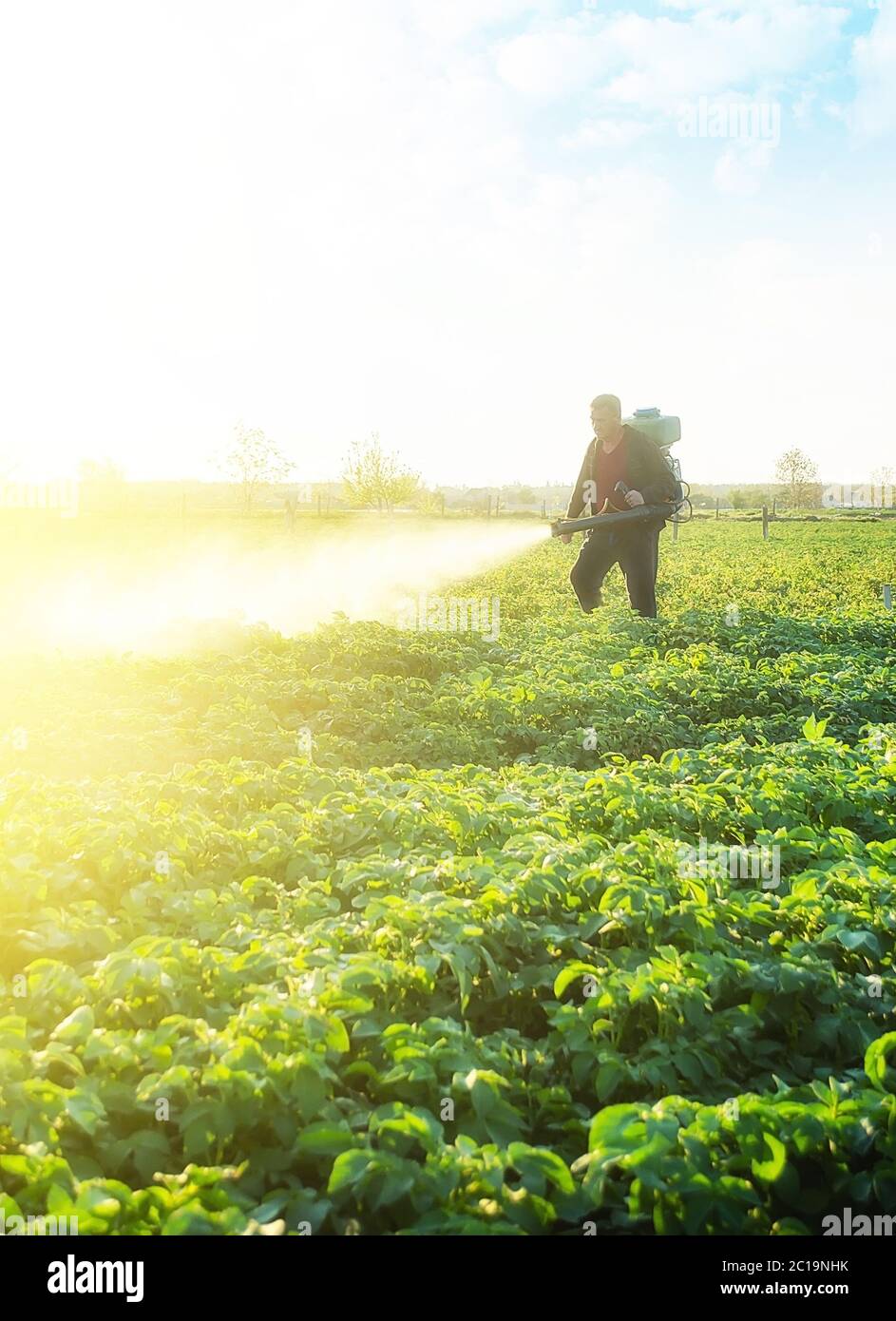 Protecting crops against pest hi-res stock photography and images - Alamy