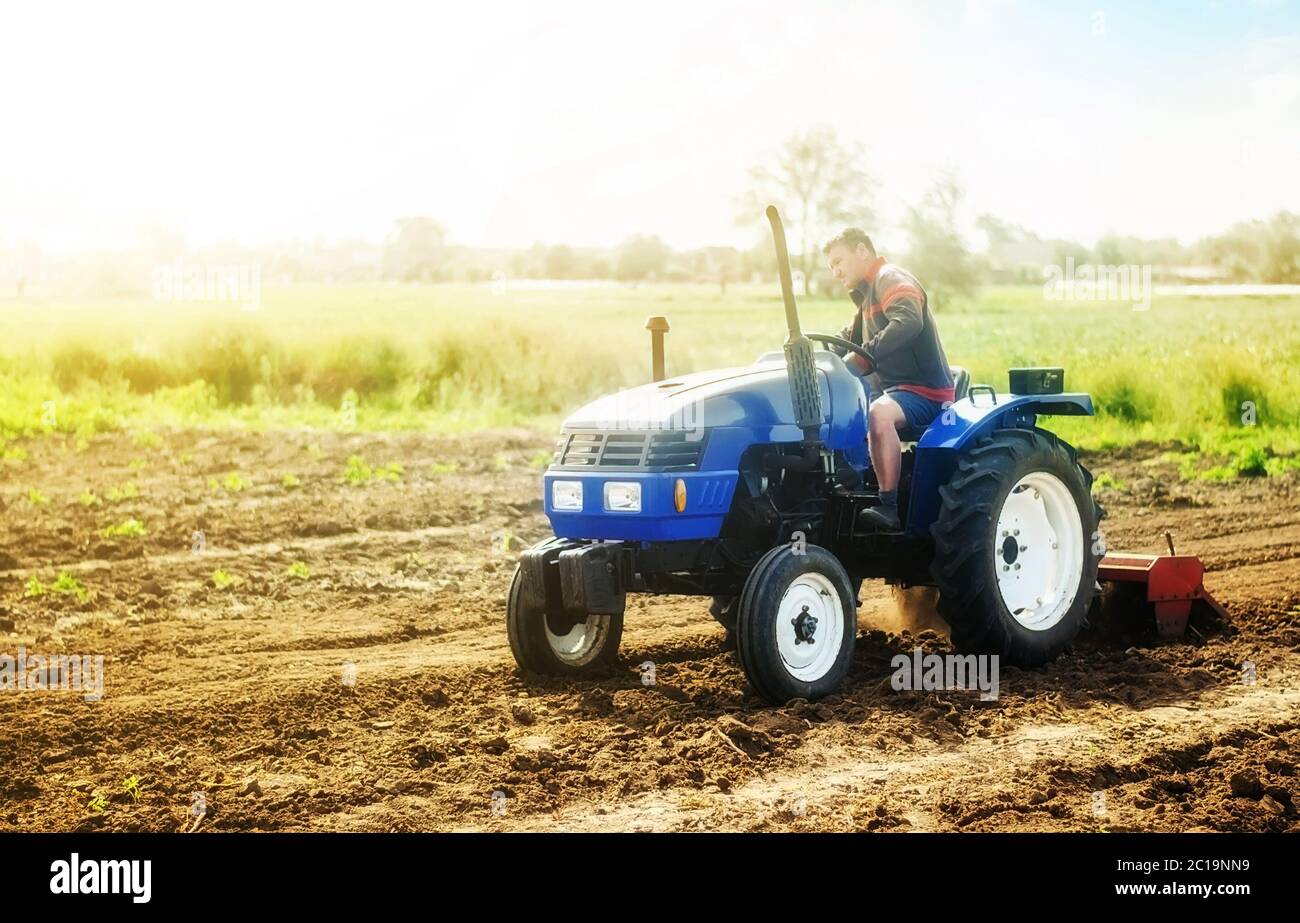 A farmer on a tractor works on the field. Cultivation technology ...