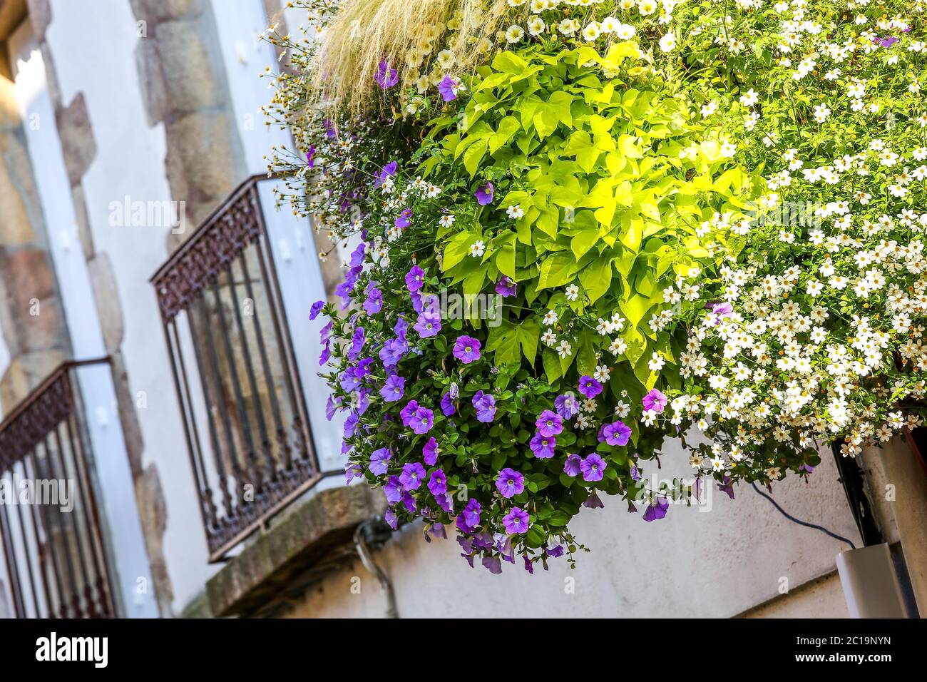Attractive house in old hi-res stock photography and images - Alamy