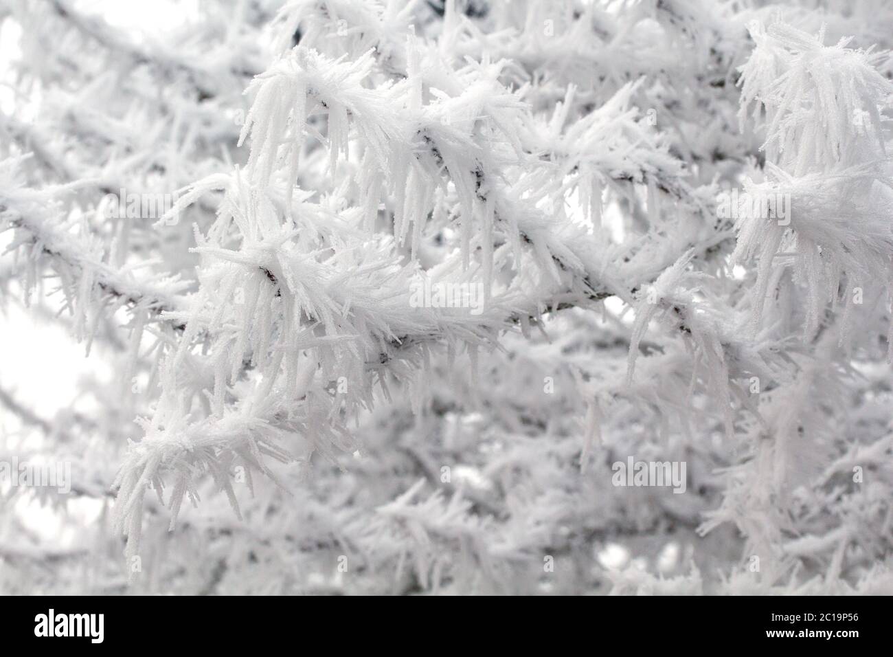 Finery finery hi-res stock photography and images - Alamy
