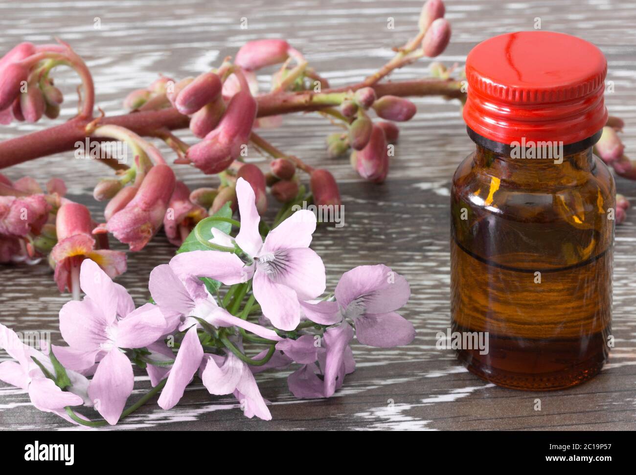 Bach flower bottle hi-res stock photography and images - Alamy