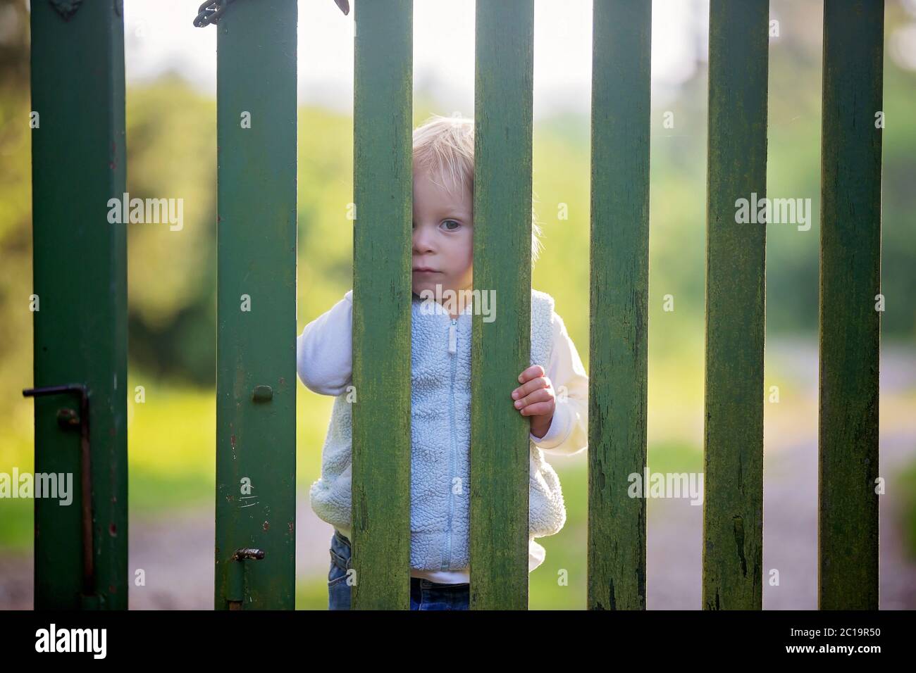 Sweet toddler boy, standing behind green wooden gate, smiling and ...