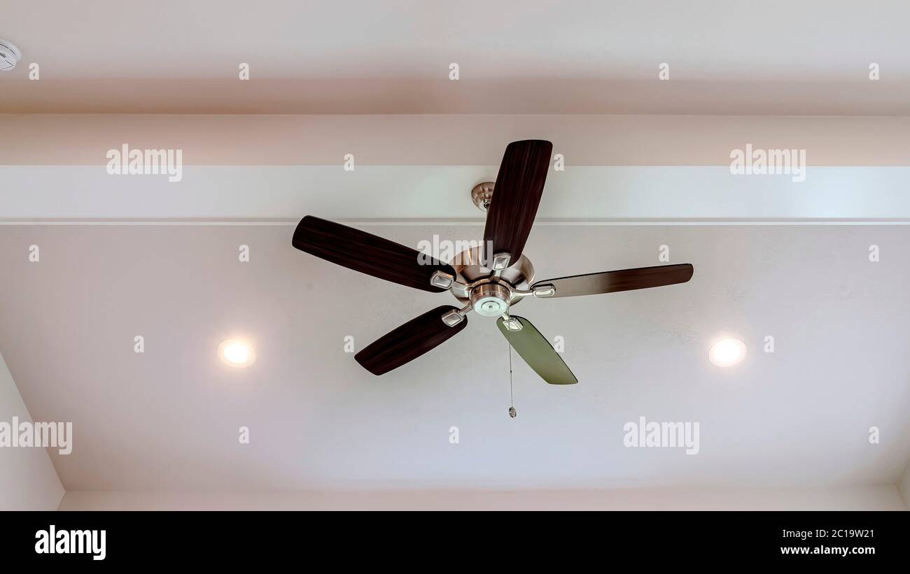 Panorama Ceiling fan with wood blades and built in lights on the ...