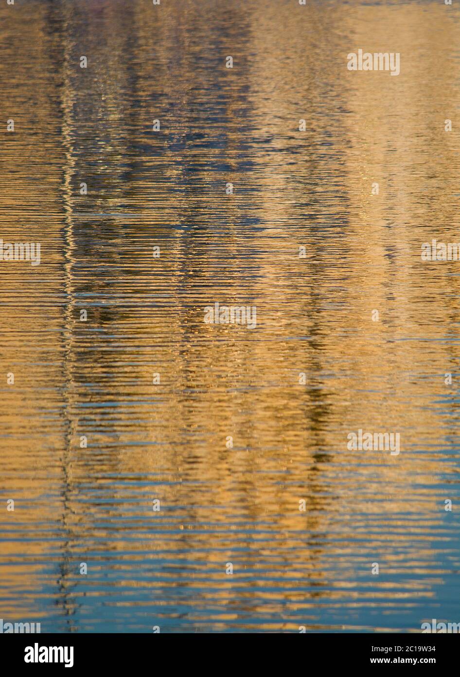 Marine background texture Stock Photo - Alamy