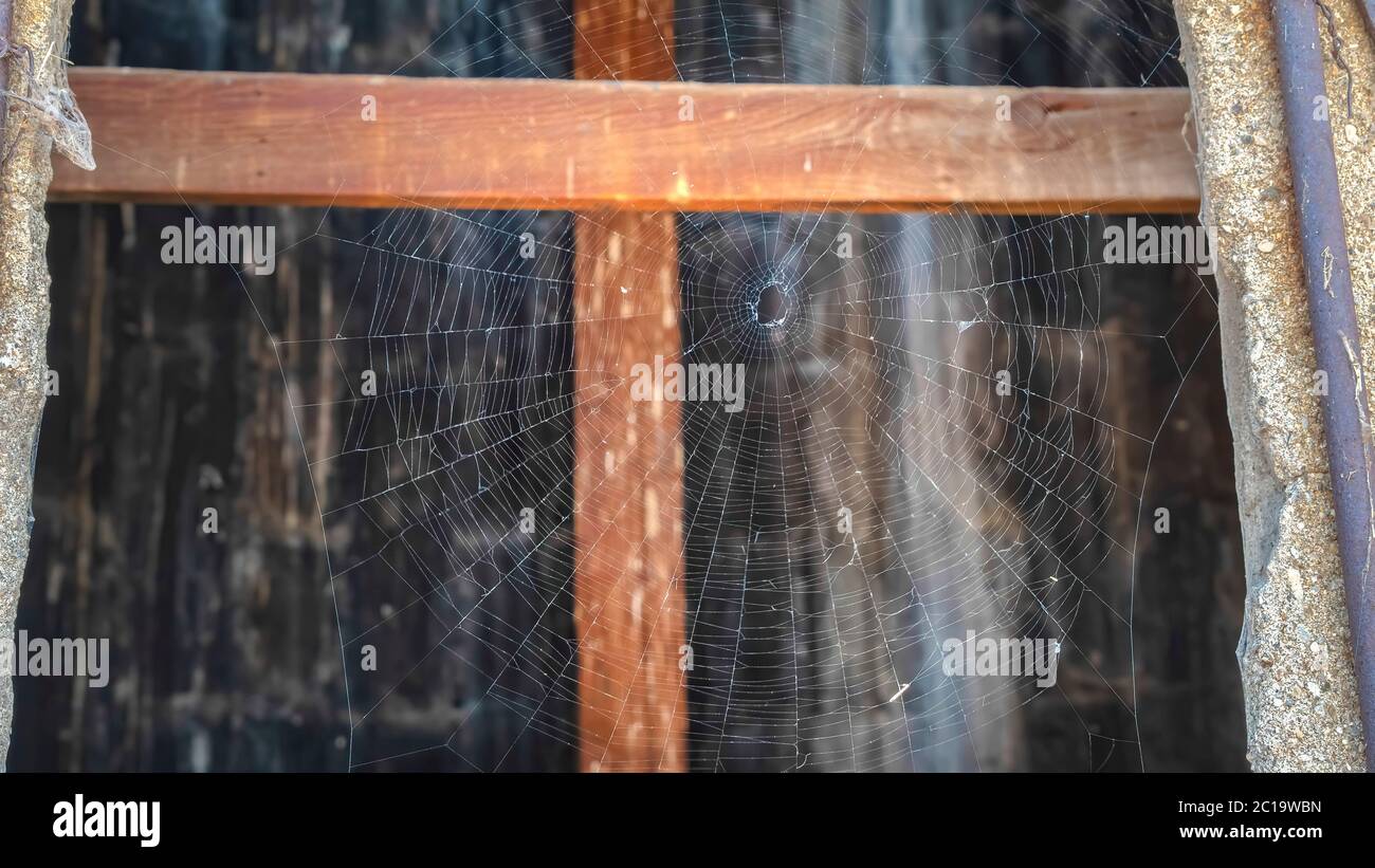 Panorama Classic circular form spider wed on the opening of an old ...