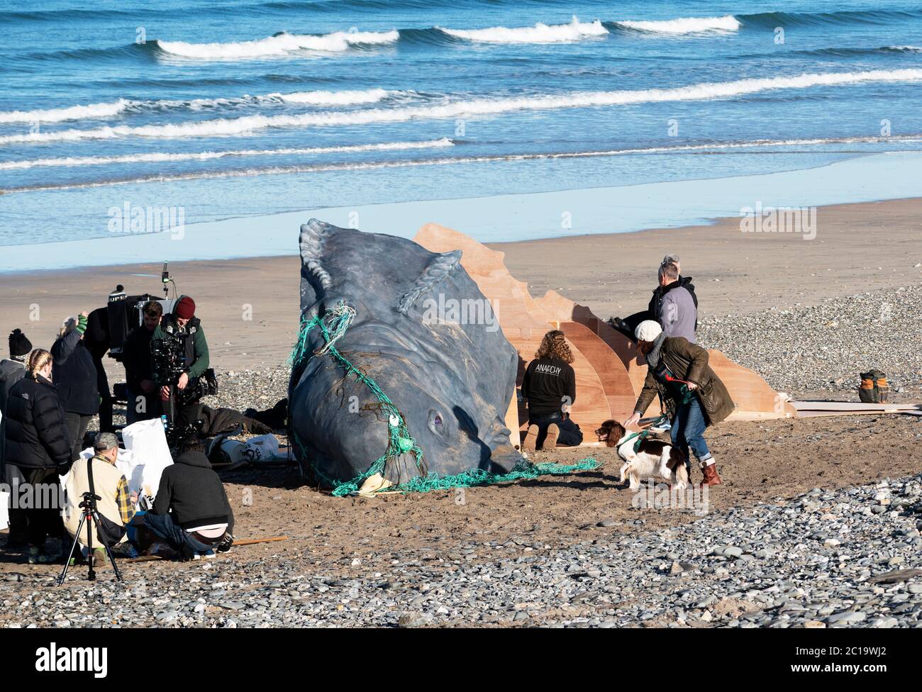 Film crew filming the short film ‘Creature’ about a stranded whale on ...
