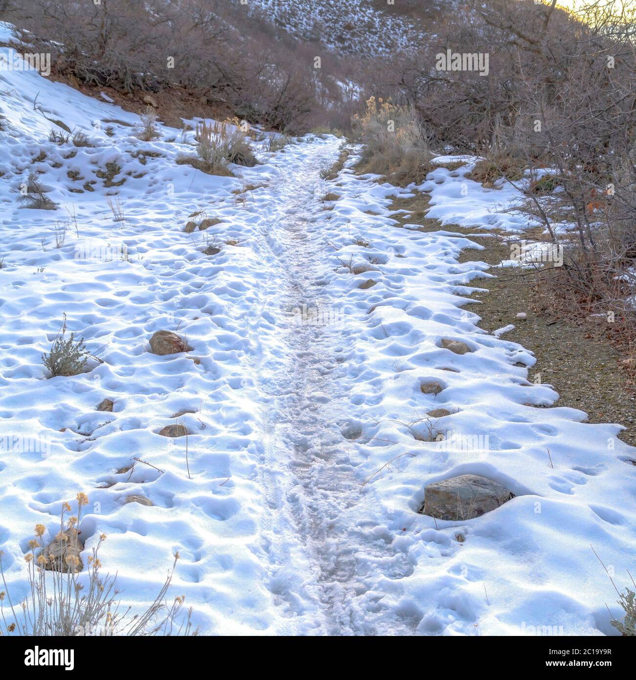 Square Trail on the snow covered terrain of a mountain in Provo Canyon ...