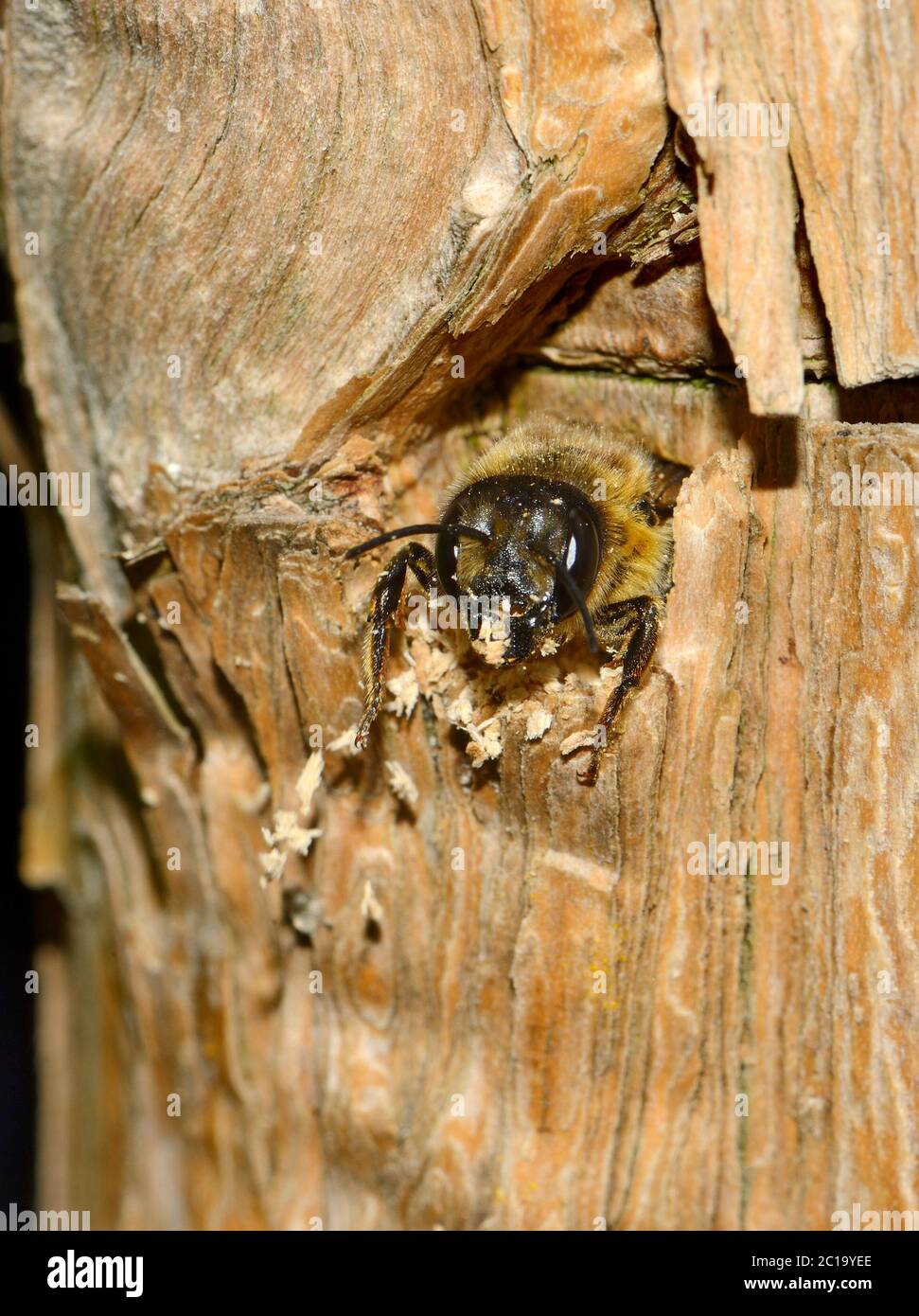Tunnel hole hi-res stock photography and images - Alamy