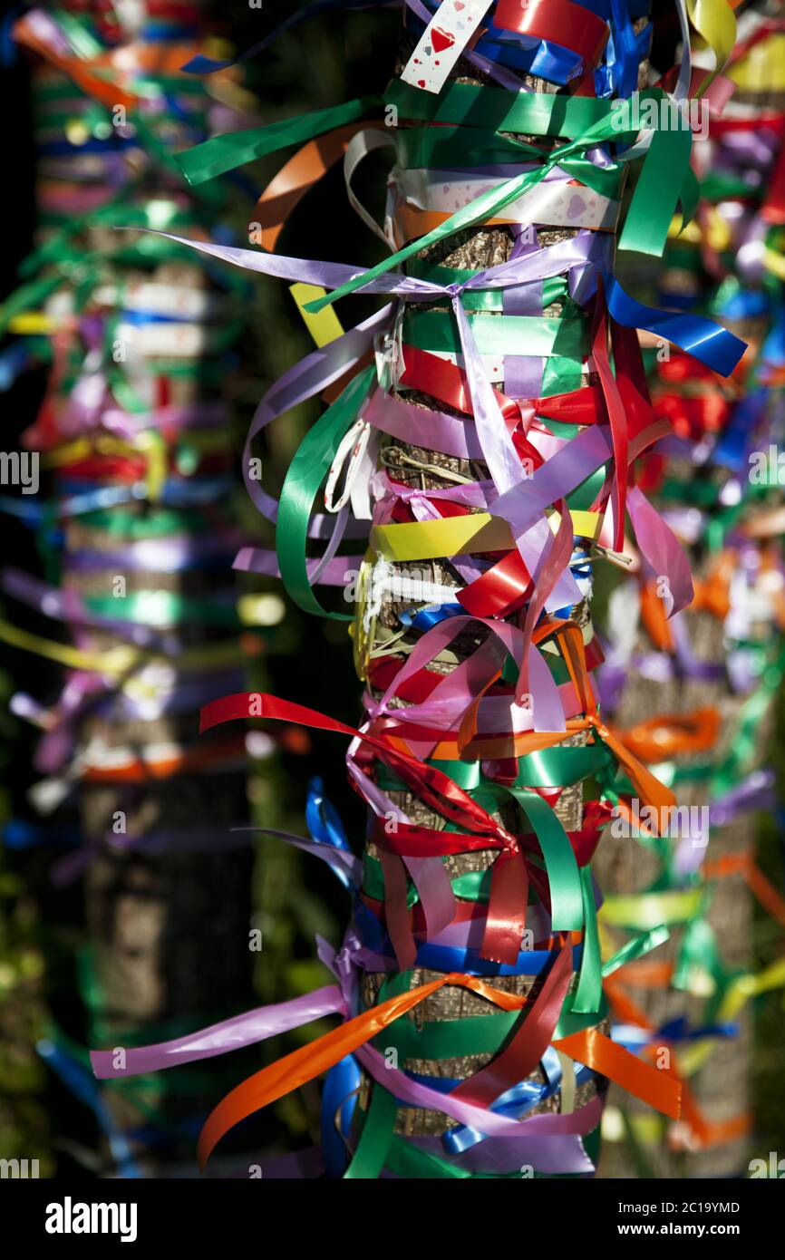 Multi-colored ribbons on a tree Stock Photo - Alamy
