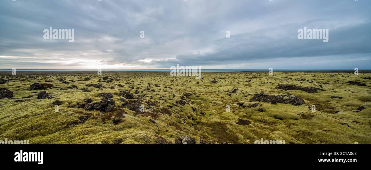 Moss field hi-res stock photography and images - Alamy