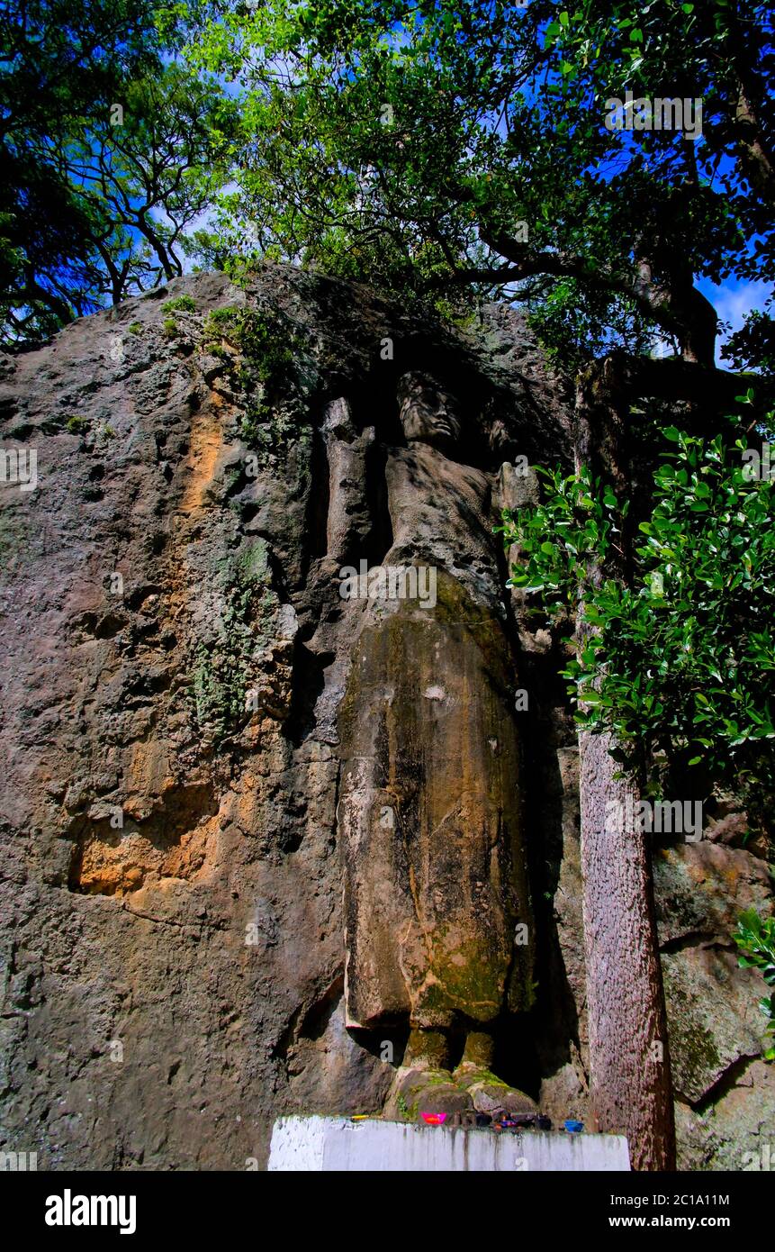 Buddha bodhi tree painting hi-res stock photography and images - Alamy