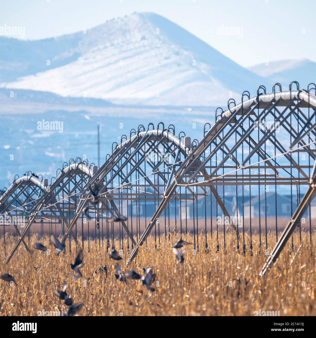 Square frame Large agricultural irrigation system in a field Stock ...