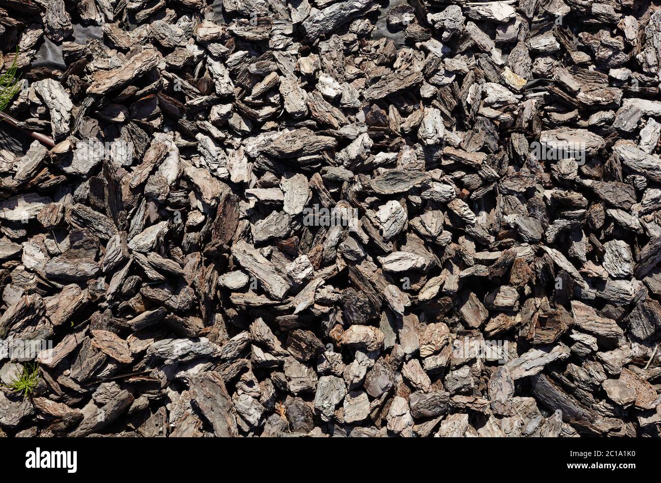Crushed tree bark texture background closeup.Pieces of trunk.Old tree ...