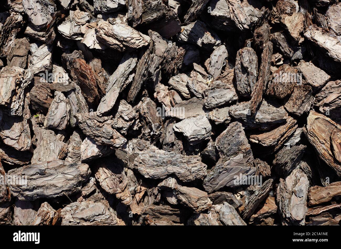 Crushed tree bark texture background closeup.Pieces of trunk.Old tree ...