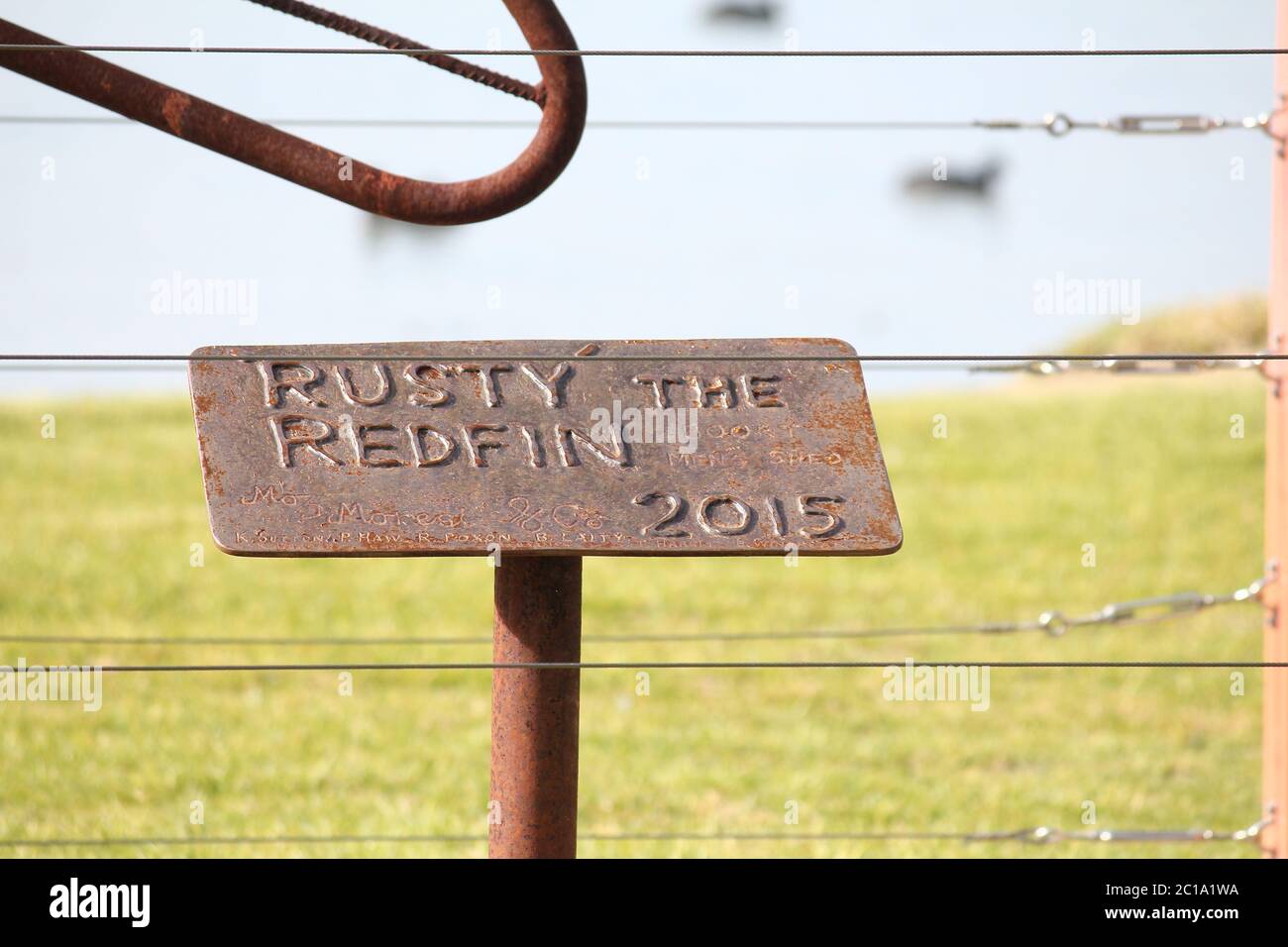 Rusty the redfin at little boort lake, Australia Stock Photo - Alamy