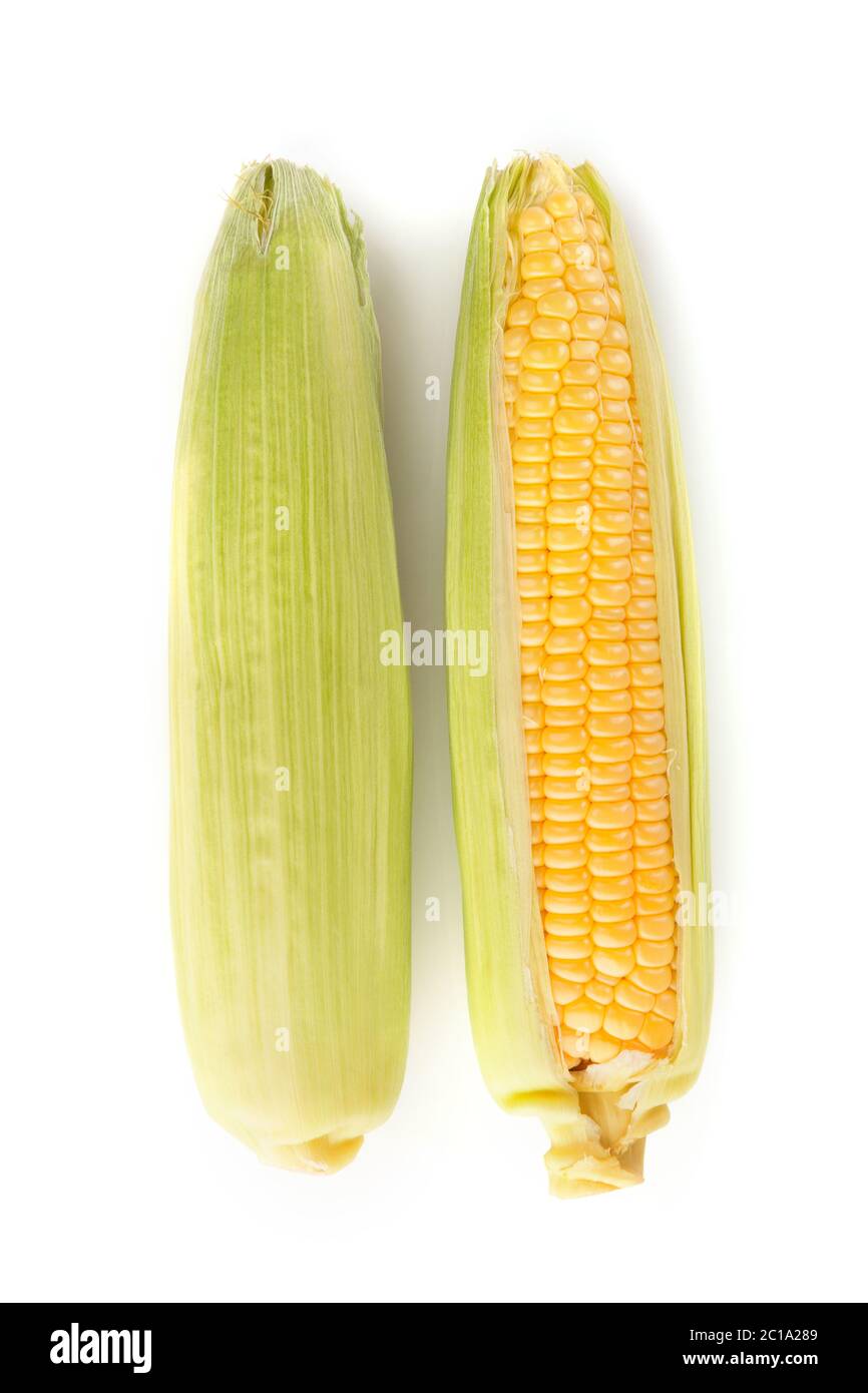 Corn maize isolated Stock Photo - Alamy