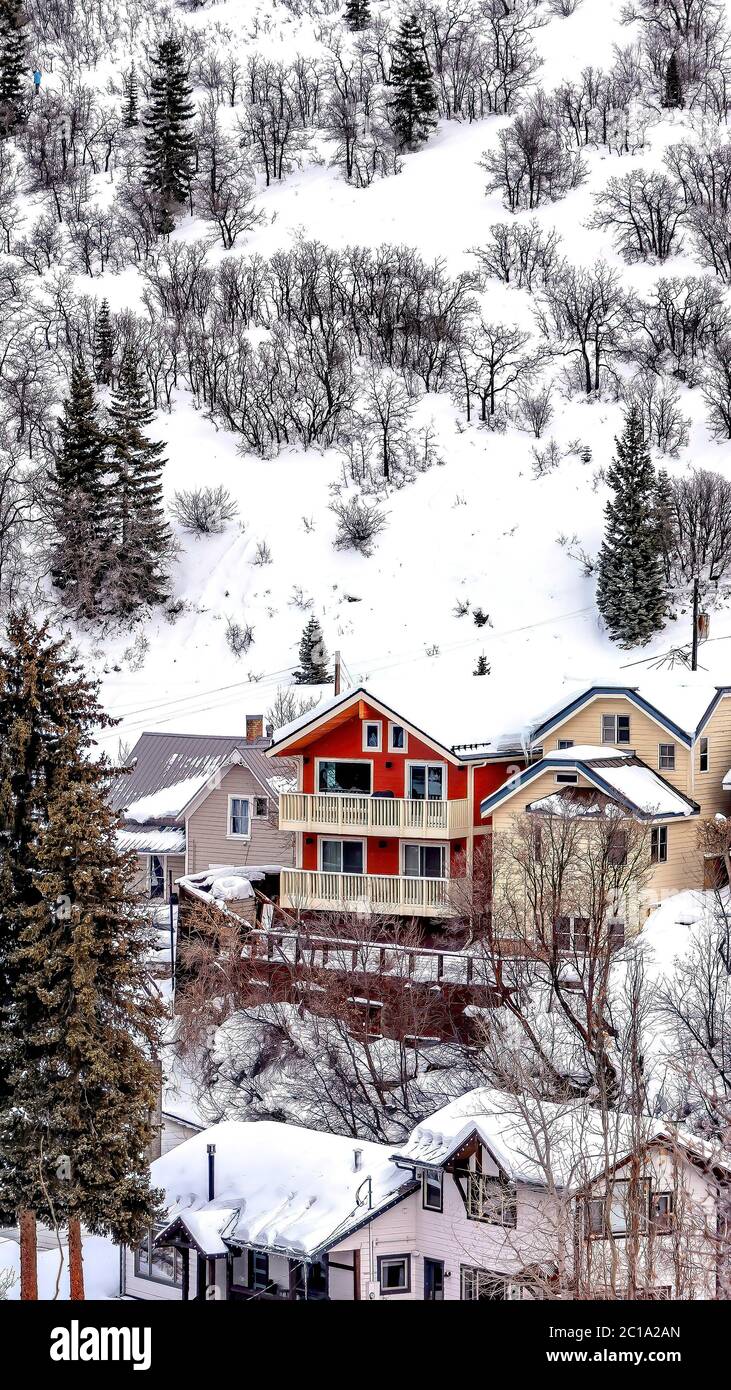 Vertical frame Colorful family homes against hill slope with conifers ...