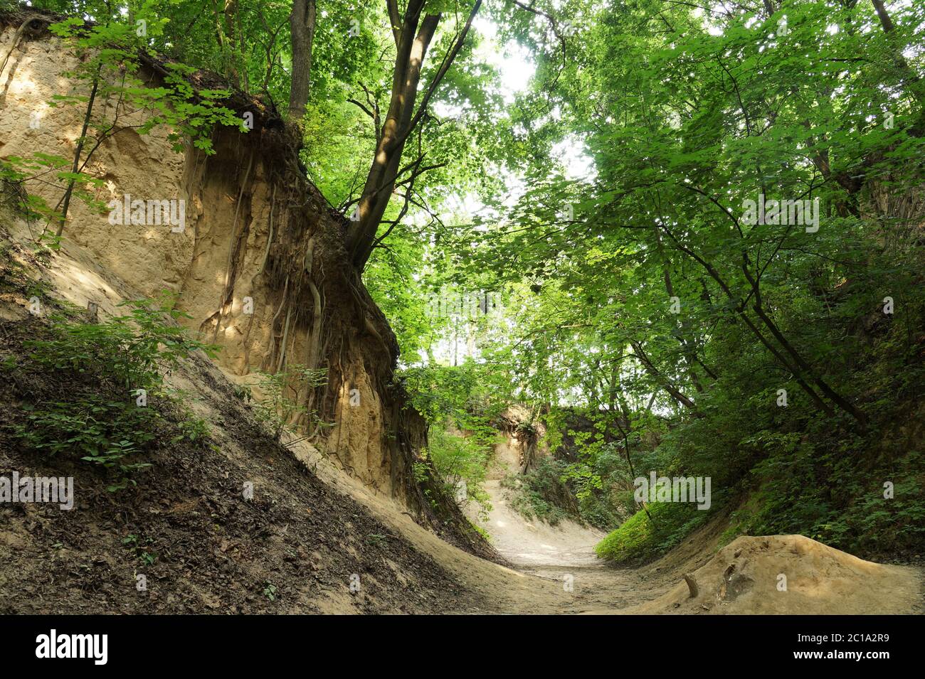 Loess hi-res stock photography and images - Alamy