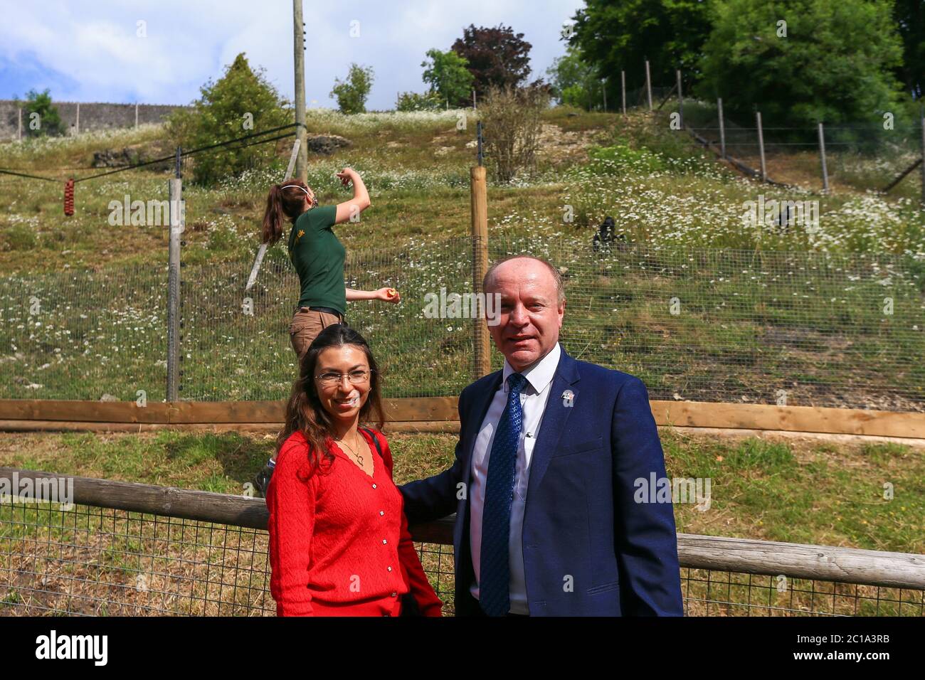 Dudley, West Midlands, UK. 15th June, 2020. Marco Longhi, Conservative ...