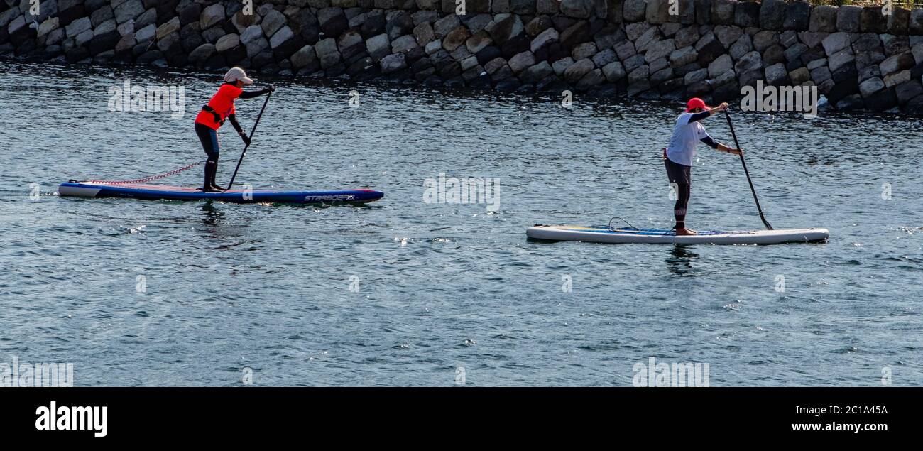 A group of people paddle boarding at Yokohama's waterfront, Japan Stock ...