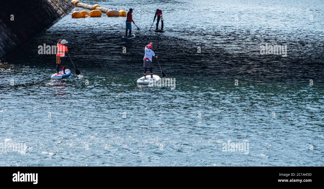 A group of people paddle boarding at Yokohama's waterfront, Japan Stock ...