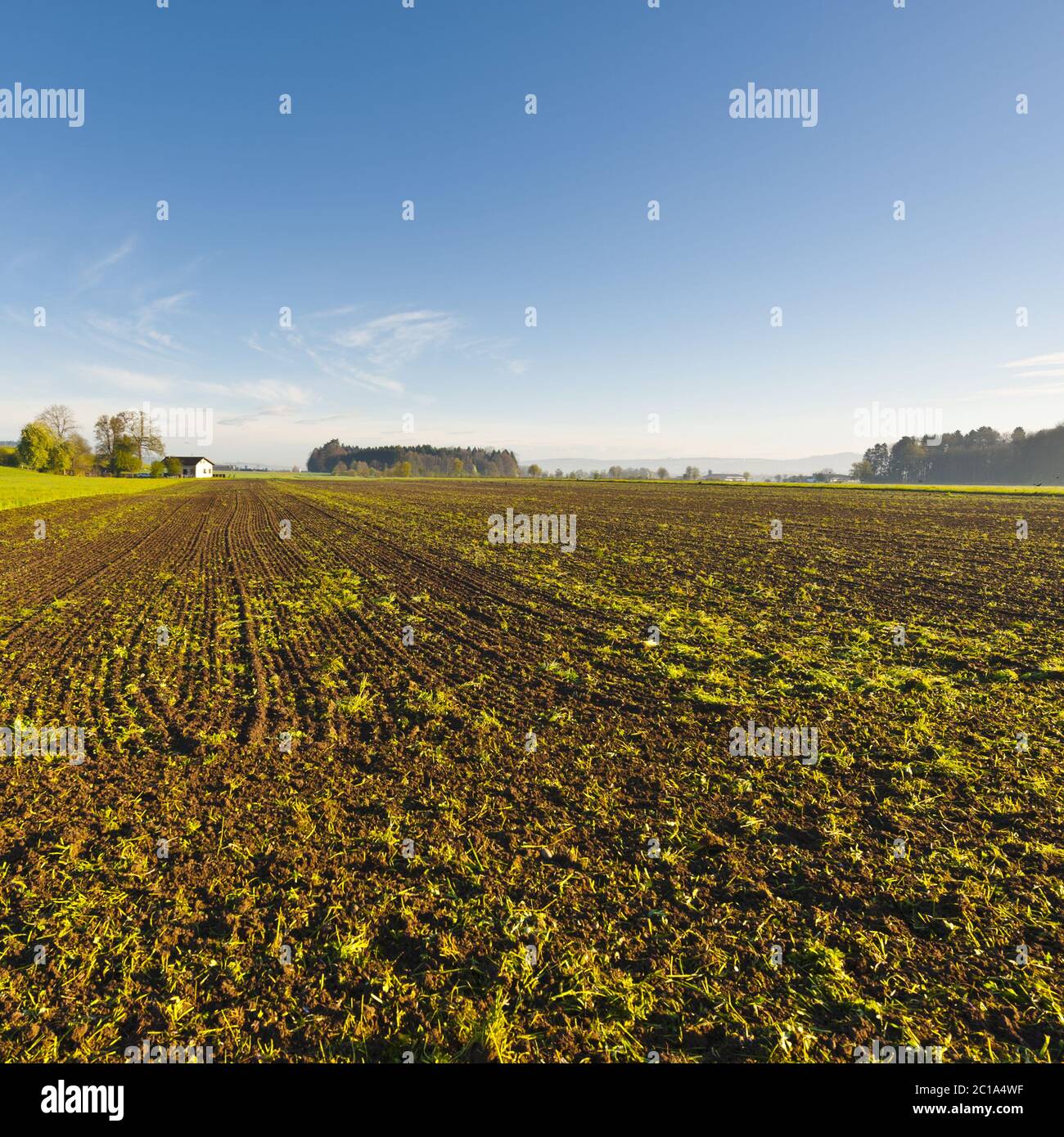Swiss fields hi-res stock photography and images - Alamy