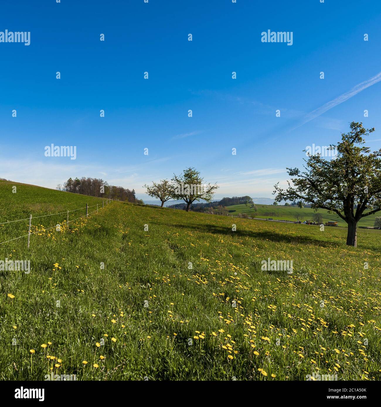 Swiss landscape with meadows Stock Photo - Alamy