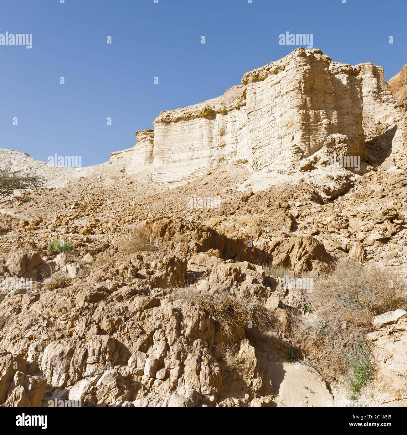 Stone desert hi-res stock photography and images - Alamy