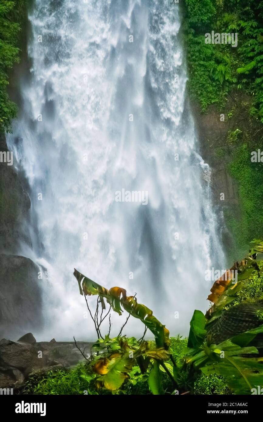 Small waterfall in the dense jungle Stock Photo - Alamy