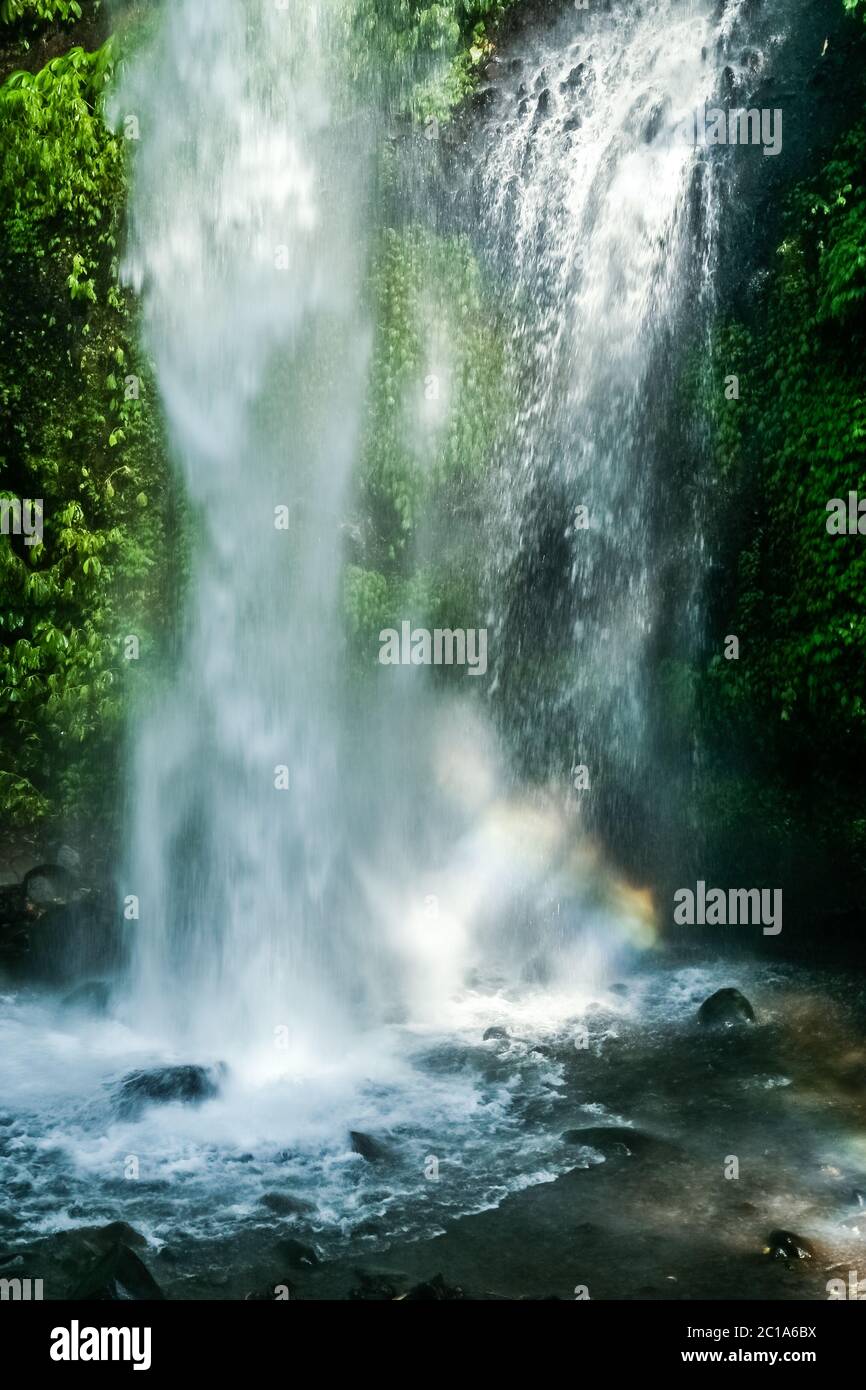 Small waterfall in the dense jungle Stock Photo - Alamy