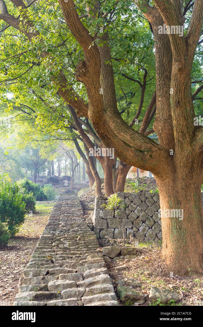 Rocky steps hi-res stock photography and images - Alamy