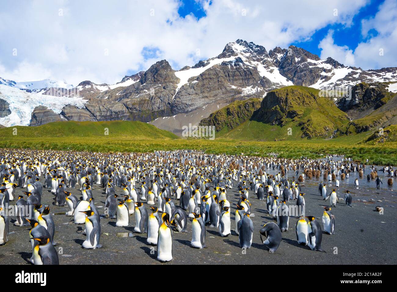 Penguins snow mountain hi-res stock photography and images - Alamy