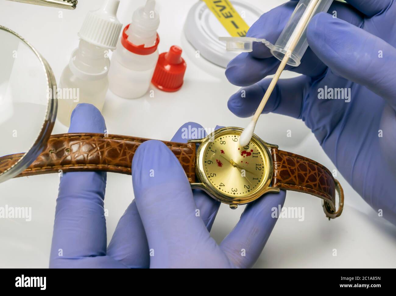 Police scientist working in Criminalistic Lab, victim clock analysis ...