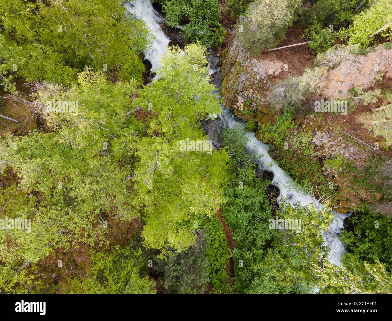 A view of South Fork Falls Trail from above Stock Photo - Alamy