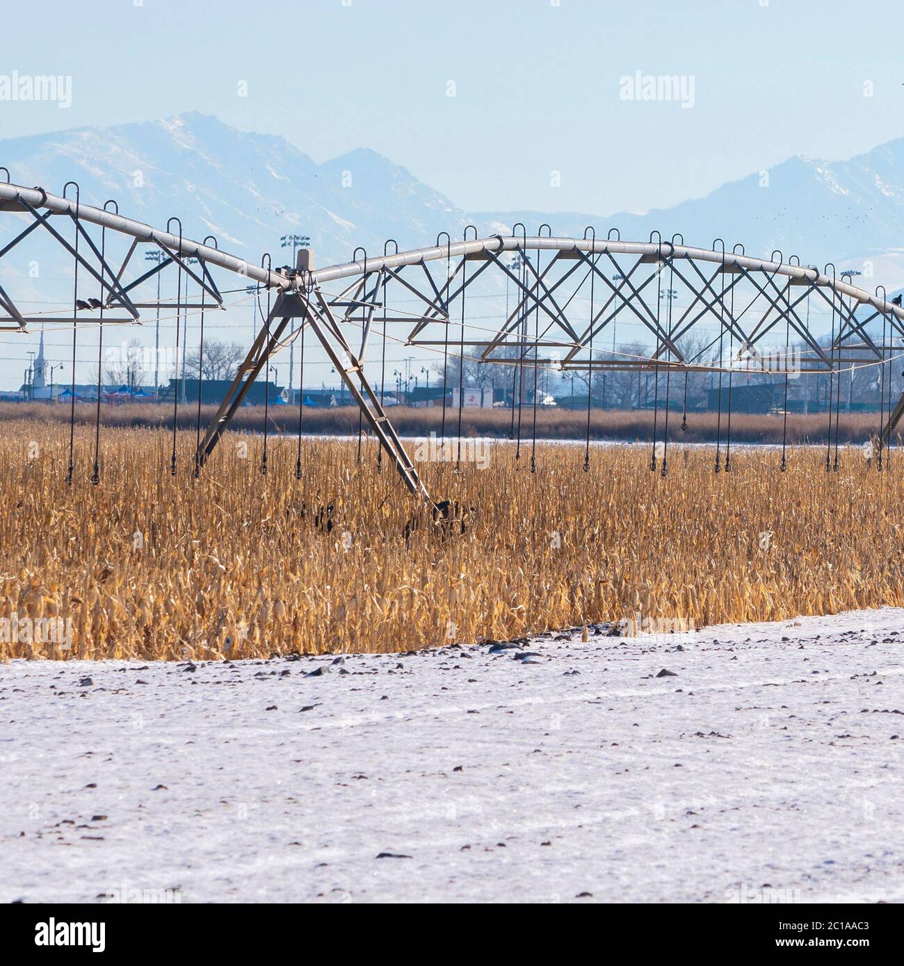 Square crop Long irrigation system on farmland with crop Stock Photo ...