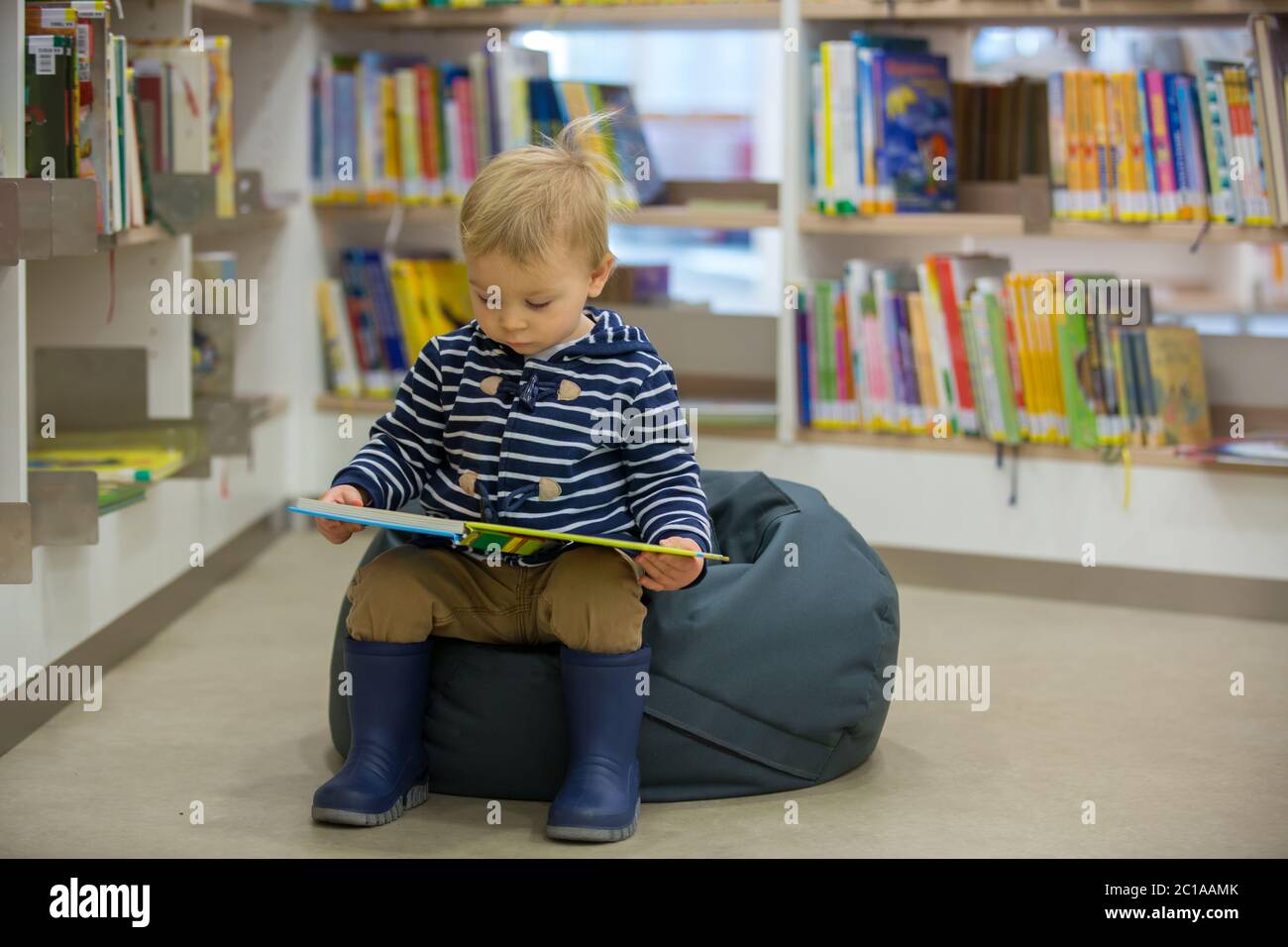 Smart children, boy brothers, toddler and school kid, educating ...