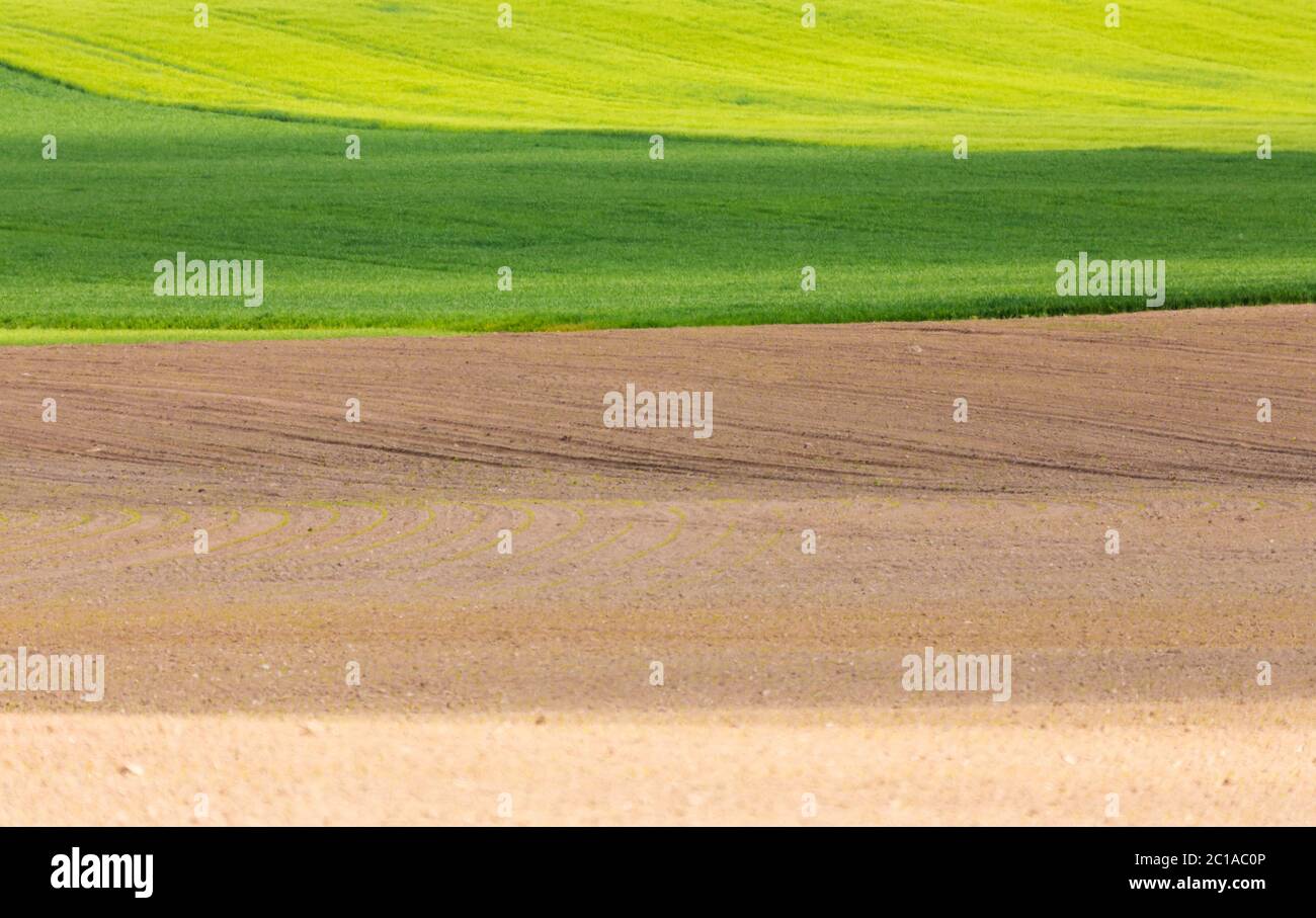Beautiful spring rural landscape Stock Photo - Alamy