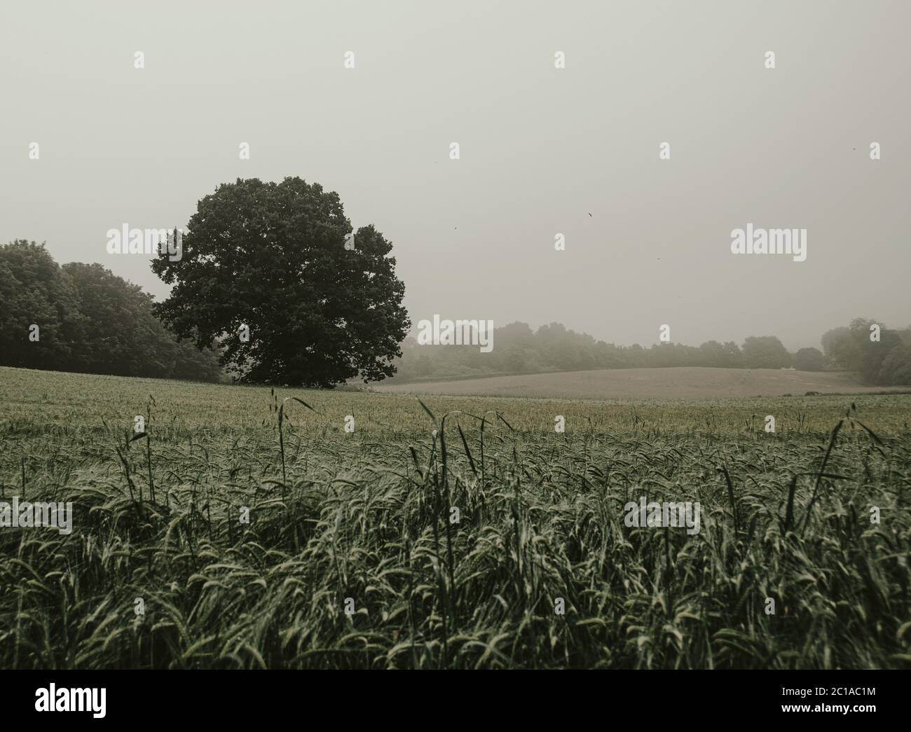 British country side landscape hi-res stock photography and images - Alamy