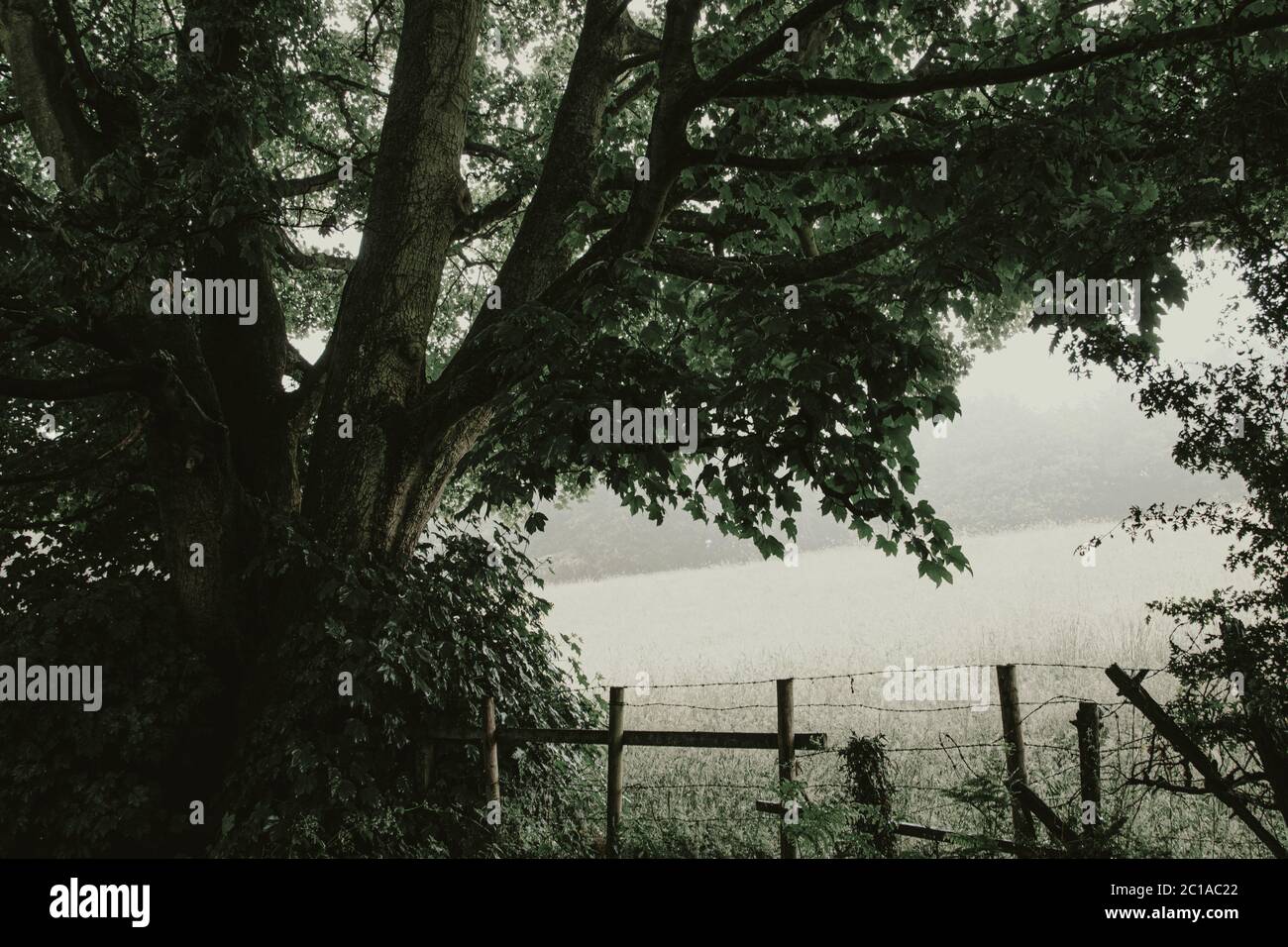 British country side landscape hi-res stock photography and images - Alamy