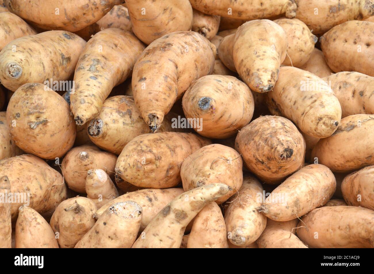Purple yam hi-res stock photography and images - Alamy