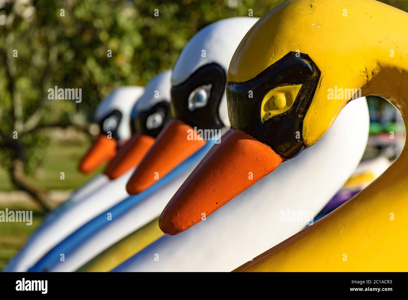 Pedal paddle boat hi-res stock photography and images - Alamy