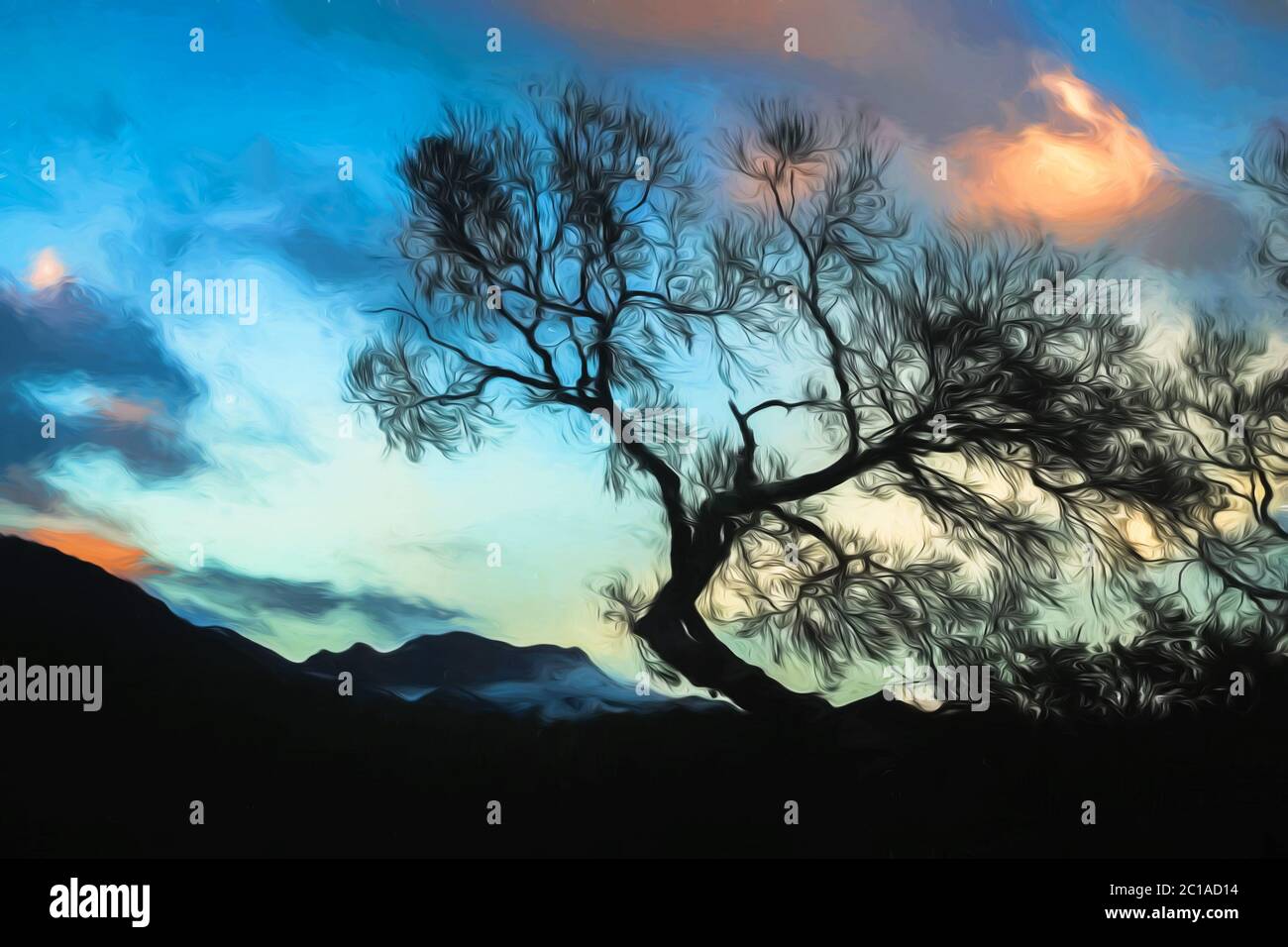 Leafless tree with the cloudy background Stock Photo - Alamy