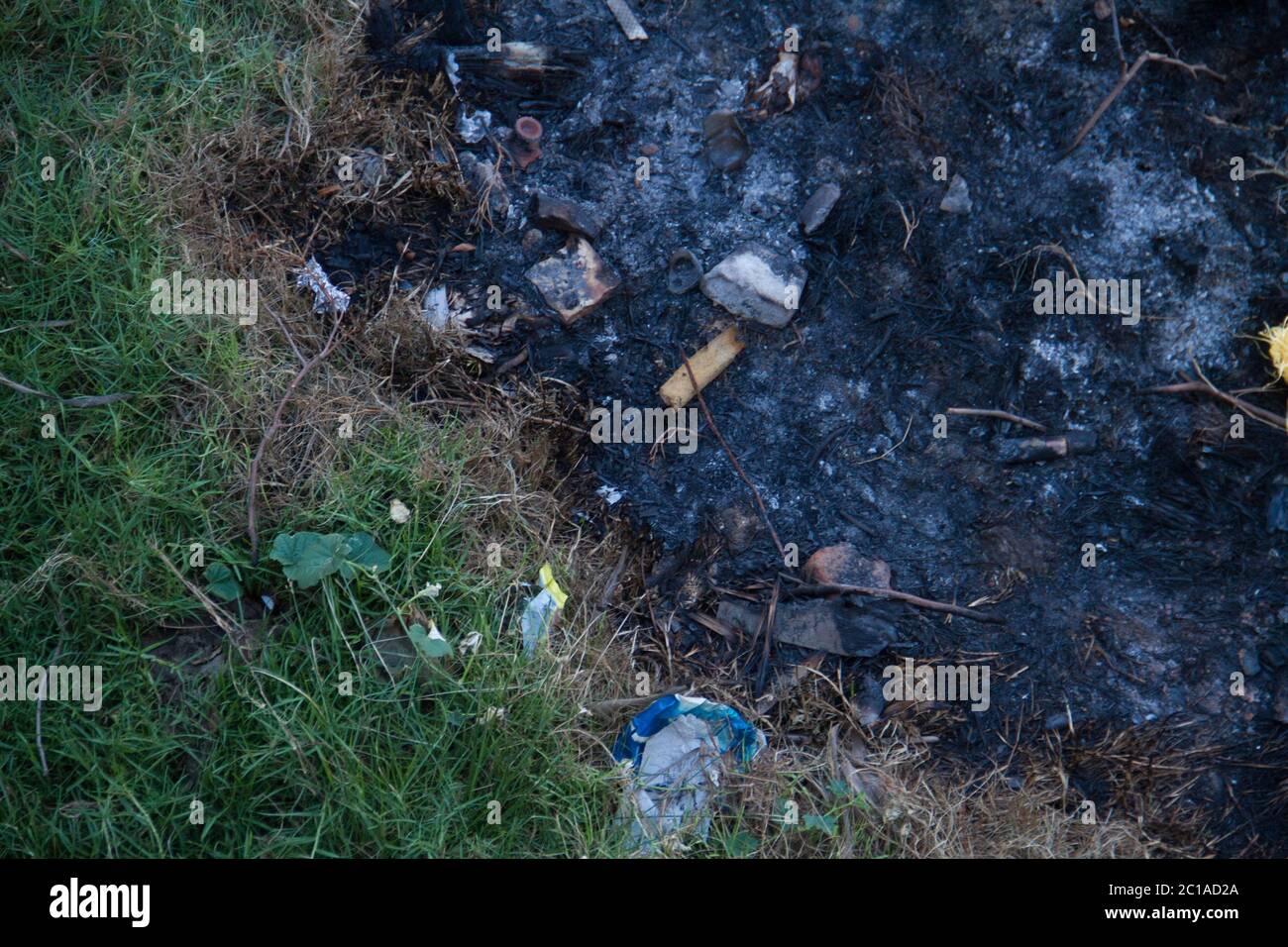 dry grass field burned wasted items with green grass Stock Photo - Alamy